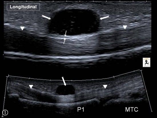 Examen Complémentaire - Centre de la Main Orleans